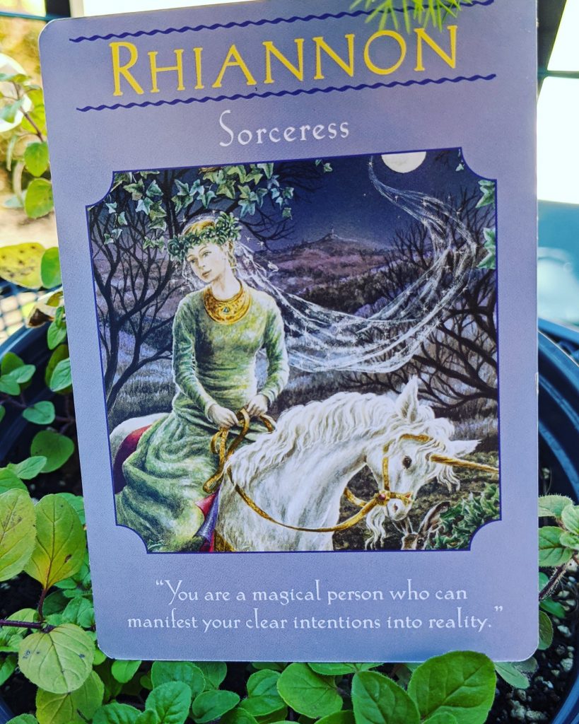 Daily Oracle Card Reading - 2020.06.13 - Psychic Readings by Brandi